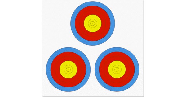 JVD FITA Target Face 3 x 20cm
